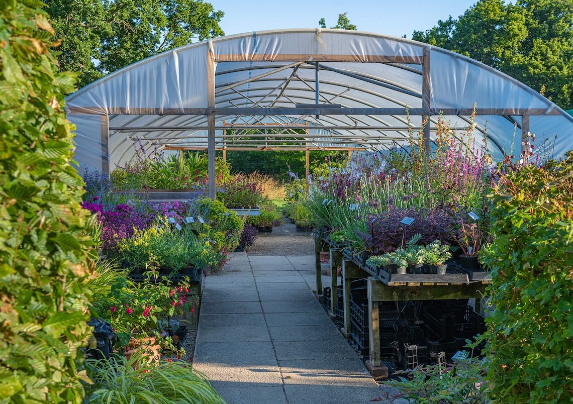 Nursery & sales • Pelham Plants